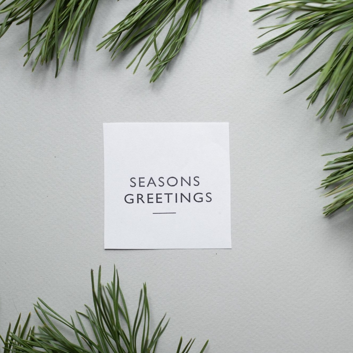 National Modern Languages SCITT - Season's greetings National Modern Languages SCITT - Season's greetings